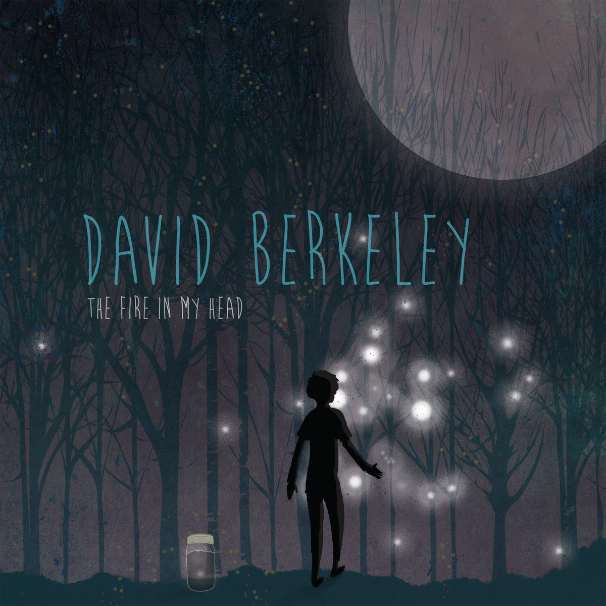 David Berkeley The fire in my head CD - Coast to Coast